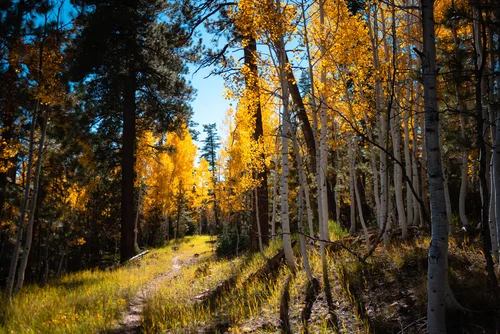 Ultimate Arizona Trail (AZT) Resupply Guide with Spreadsheet for ...