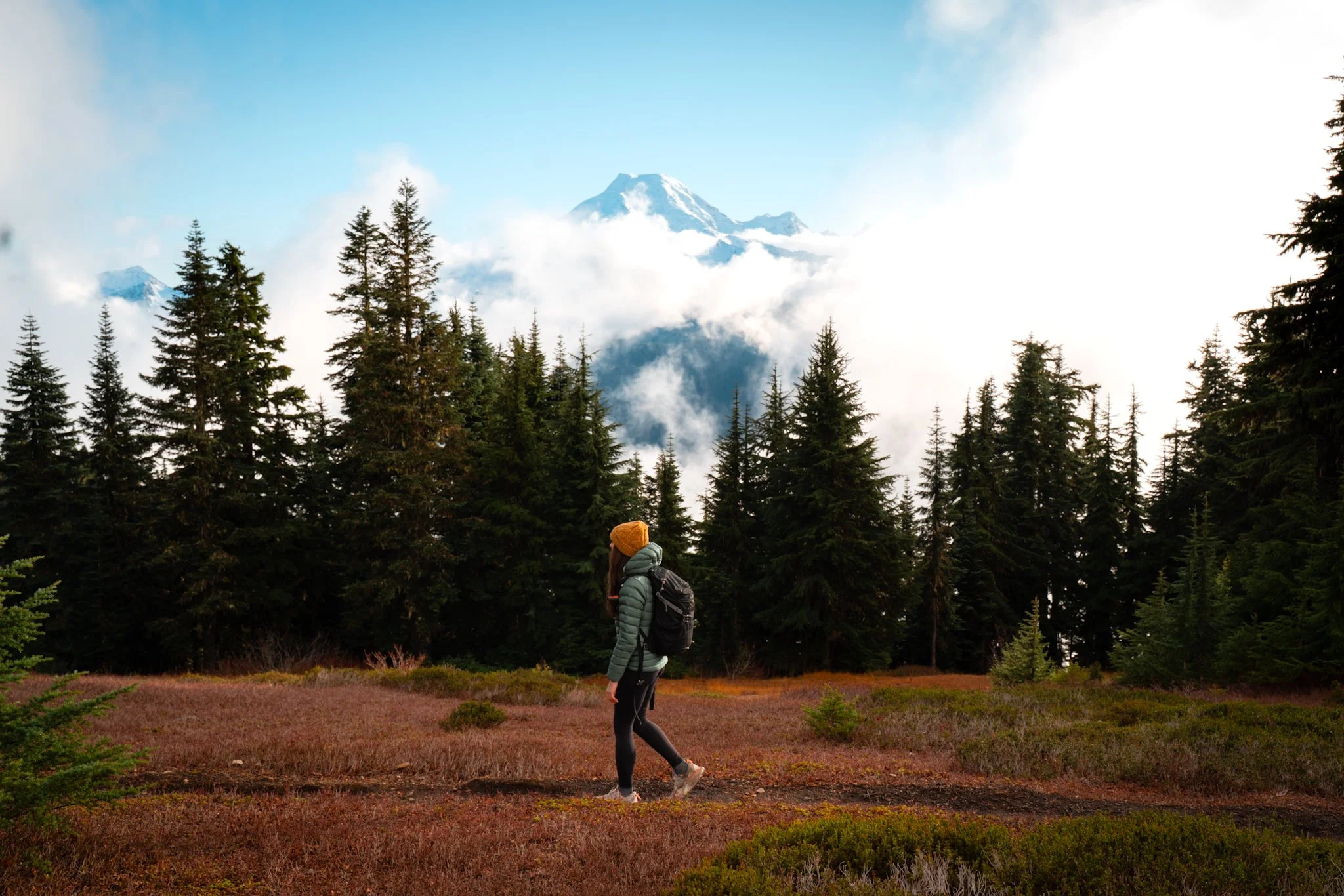 10 Best Hikes on Mount Baker Highway in Washington’s North Cascades — Erin Exploring