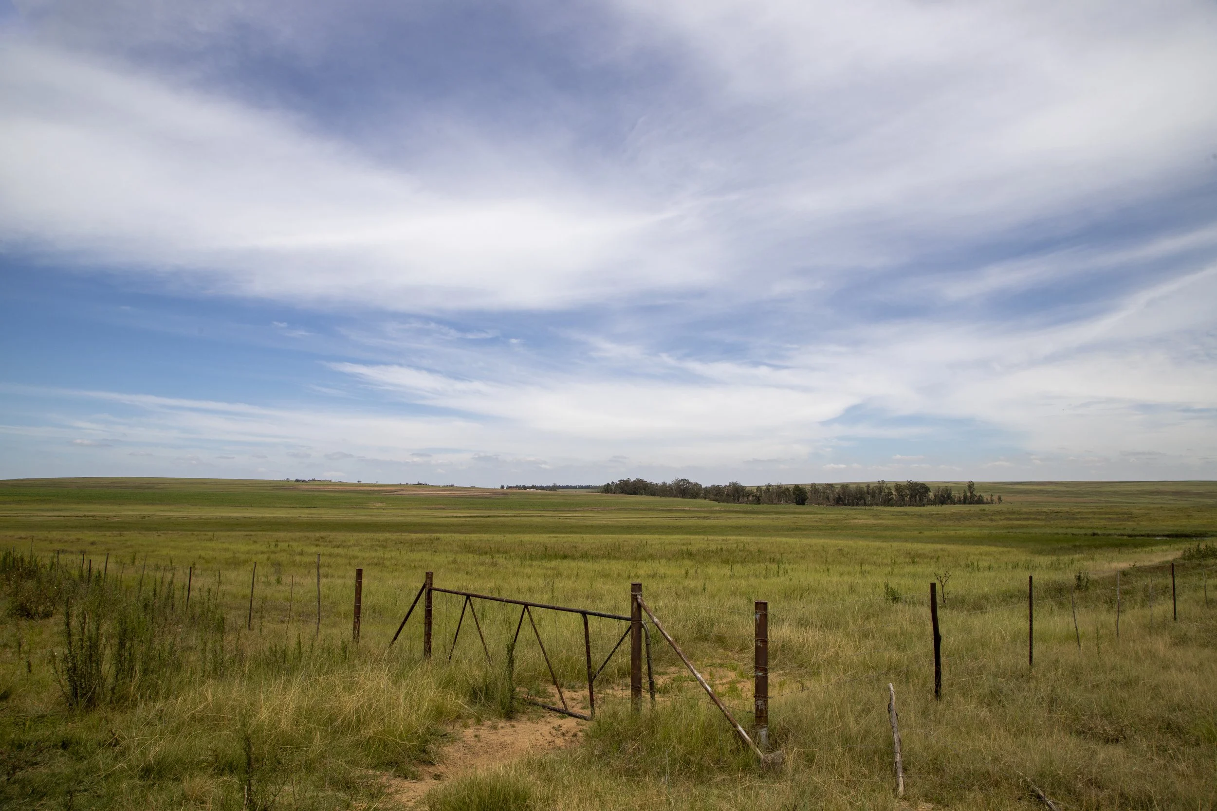 Gugulethu — Canyon Coal