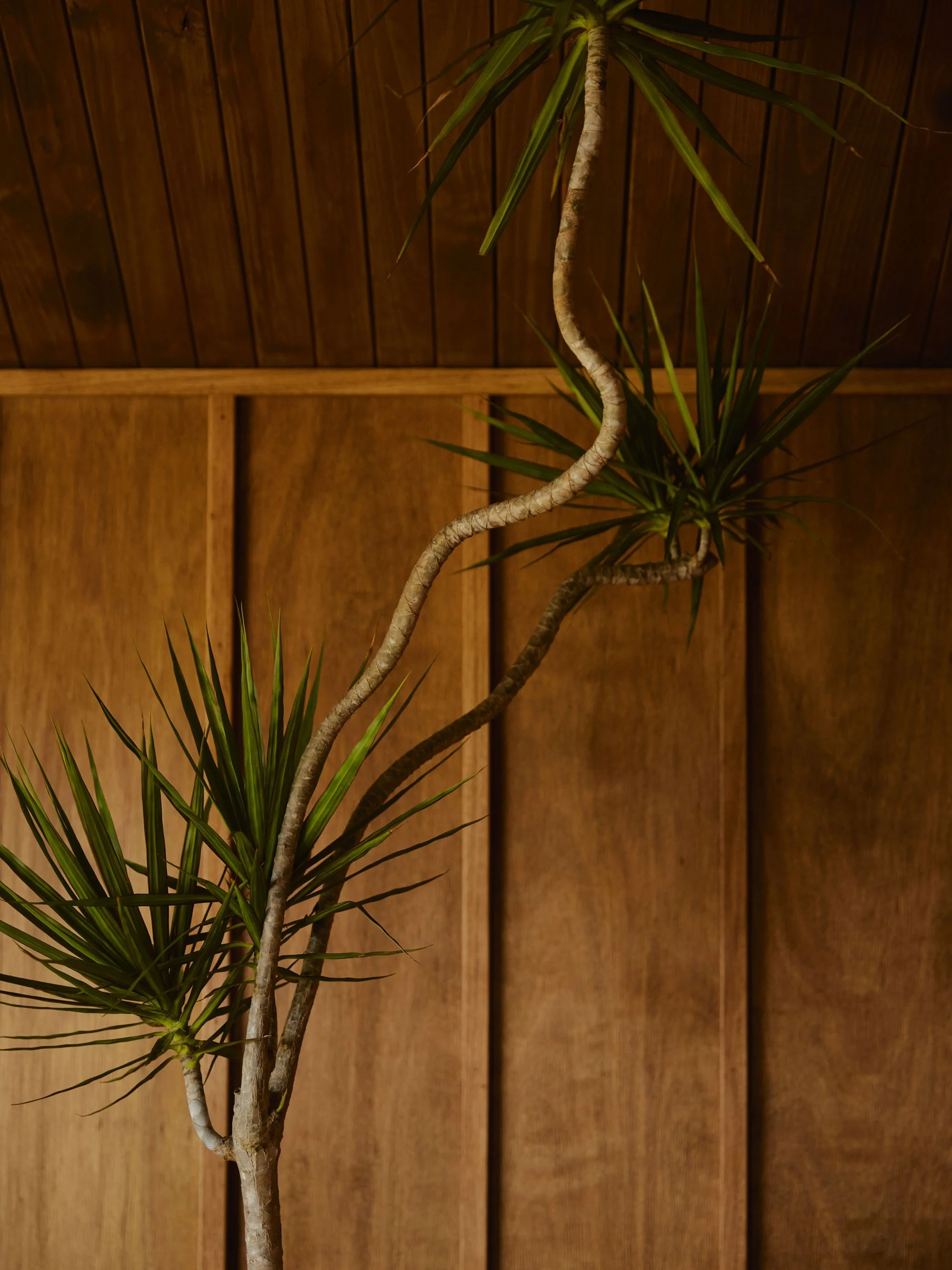Sun Ranch — Hôtel Weekend | Barefoot Luxury for the Modern Nomad