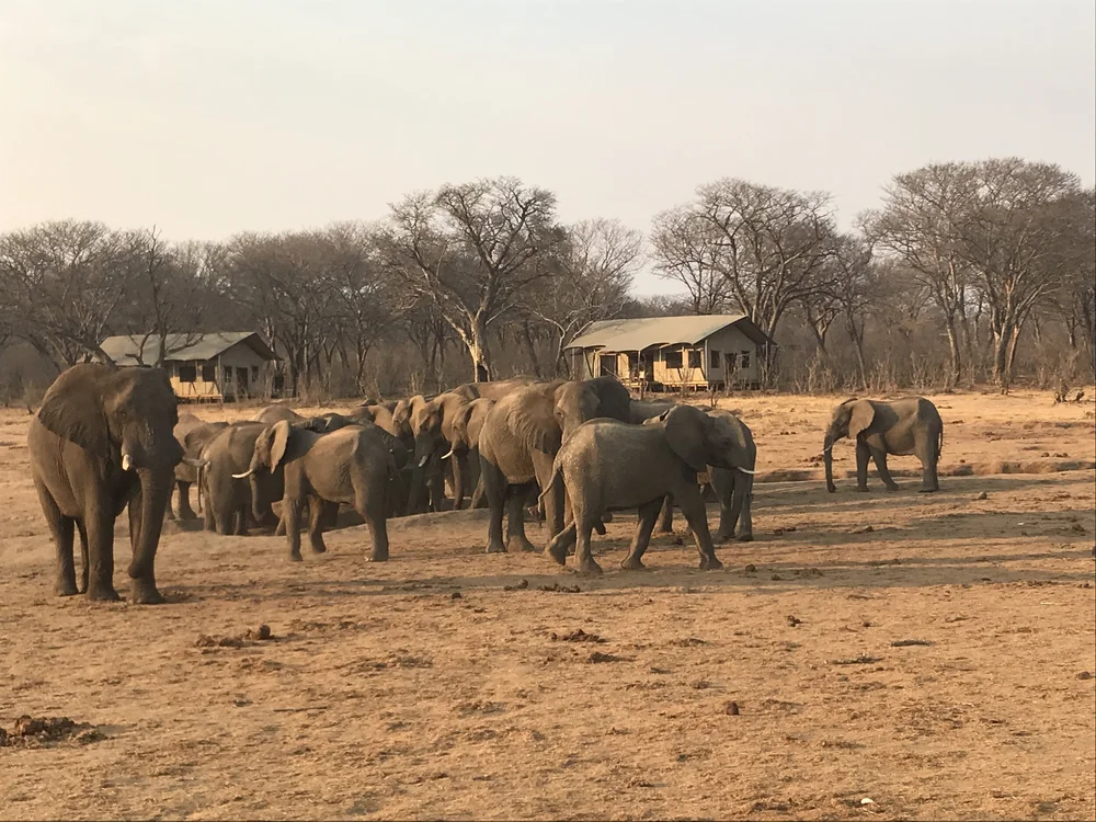 Why Choose Umlingo — Umlingo