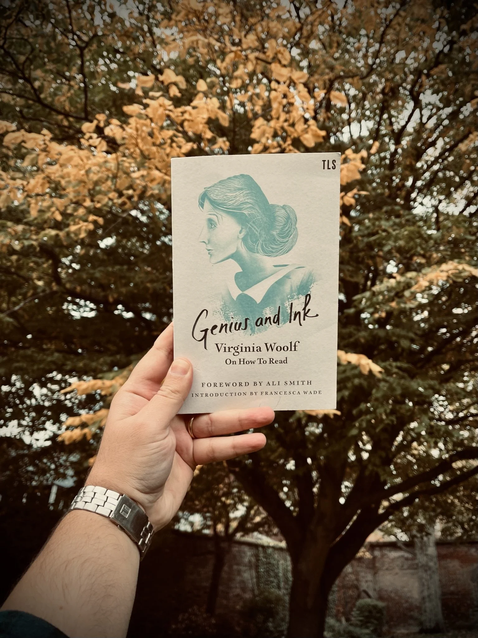 Virginia Woolf’s Writing Routine, November, 2022 EDITION — ARTI | DOTE