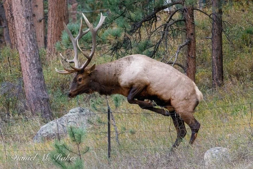 Wild Aware