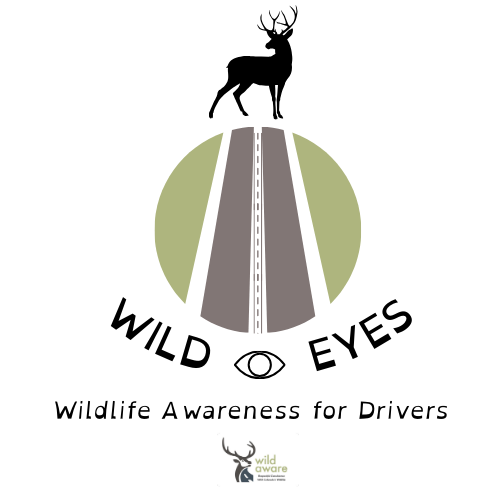 Wild Eyes — Wild Aware