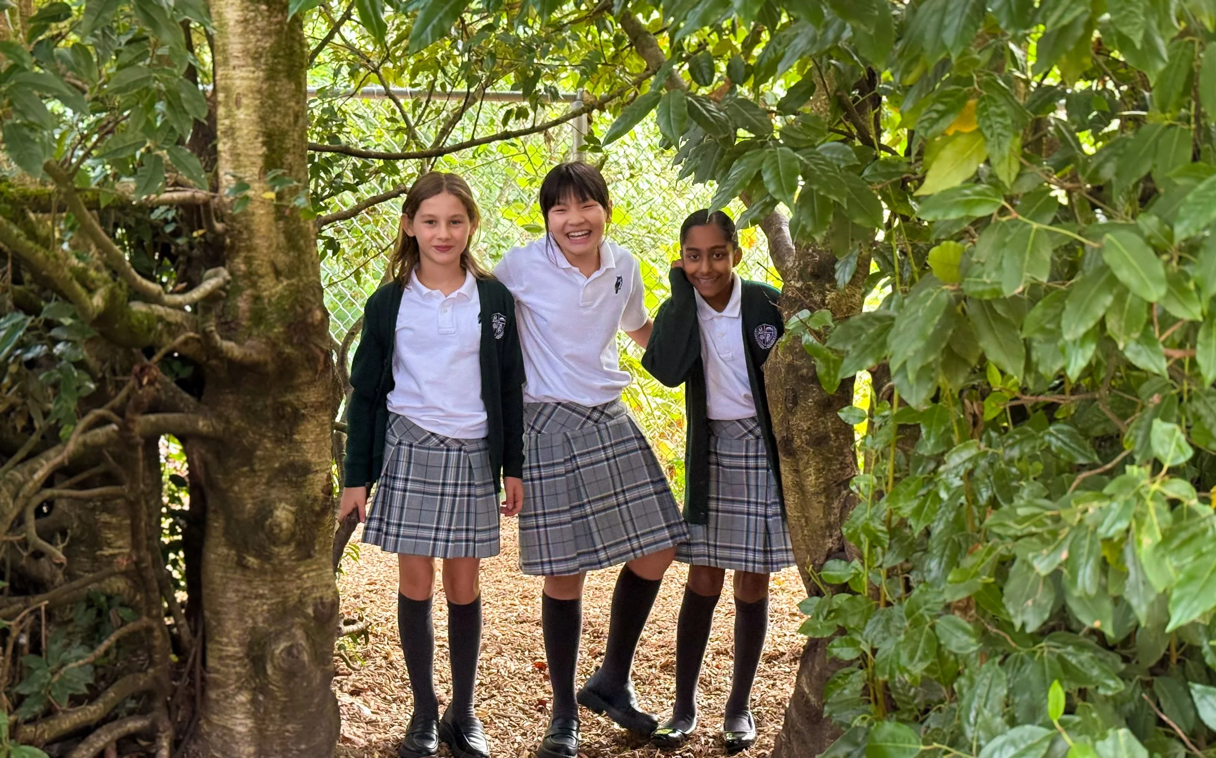 Cornerstone Montessori School