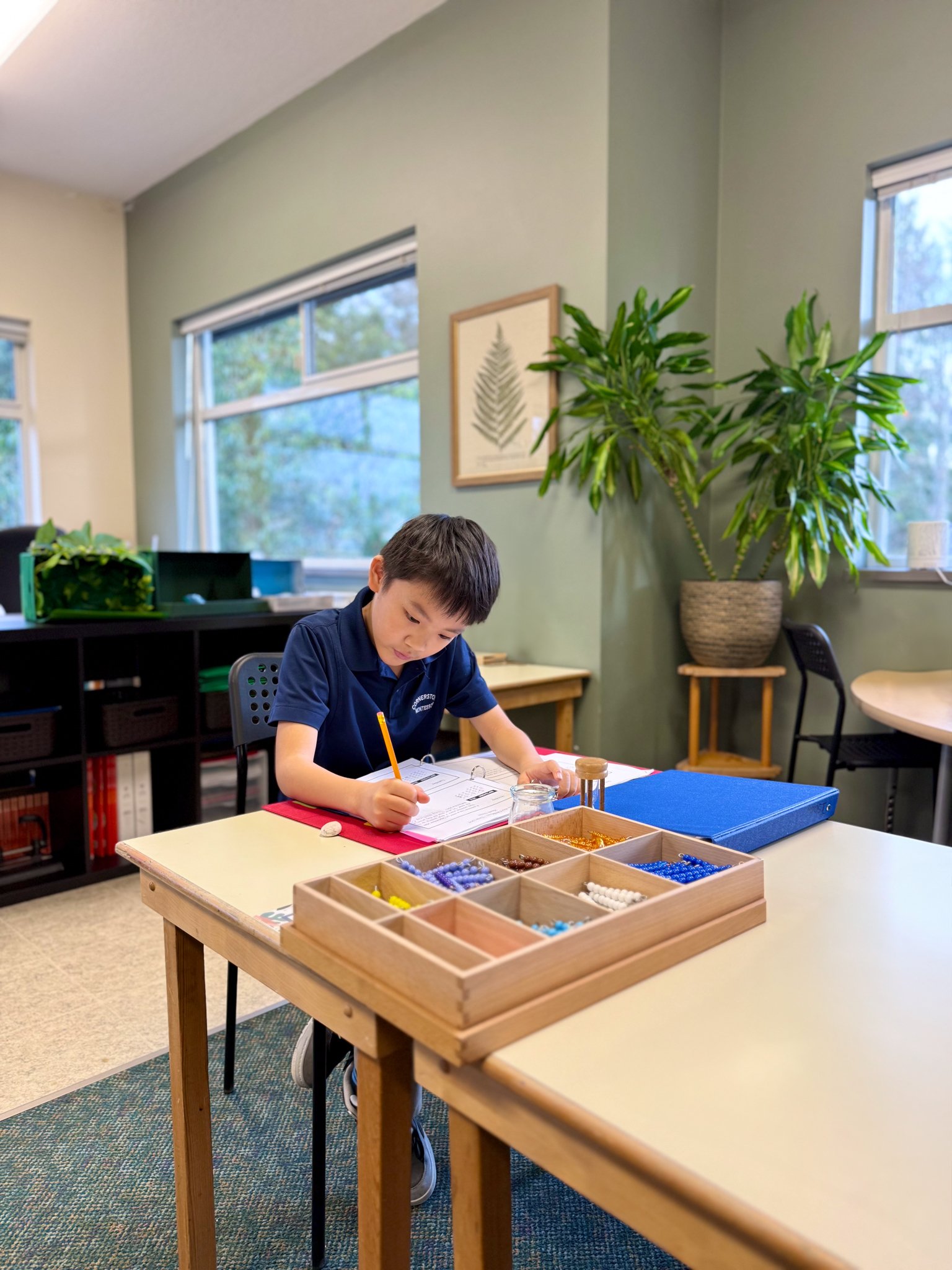 Tuition Structure — Cornerstone Montessori School