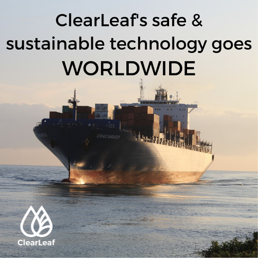 ClearLeaf goes worldwide (Newsletter) — ClearLeaf - Sustainability ...