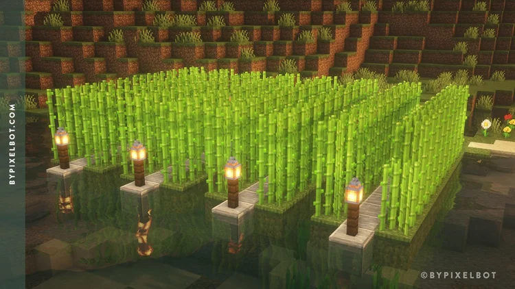 How Long Does Sugar Cane Take to Grow in Minecraft (And How to Speed It ...