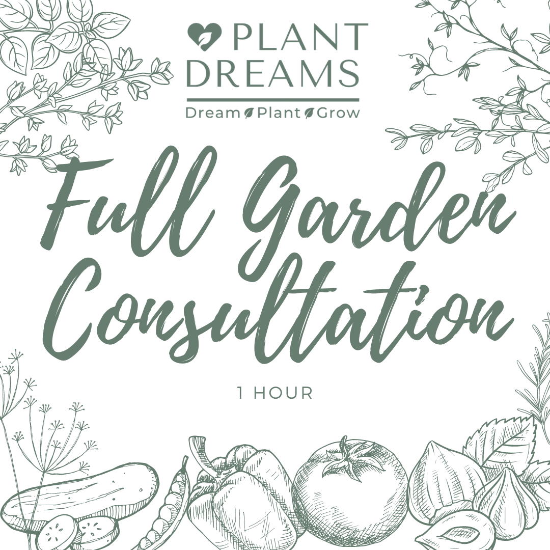 Garden Consultation — Plant Dreams LLC