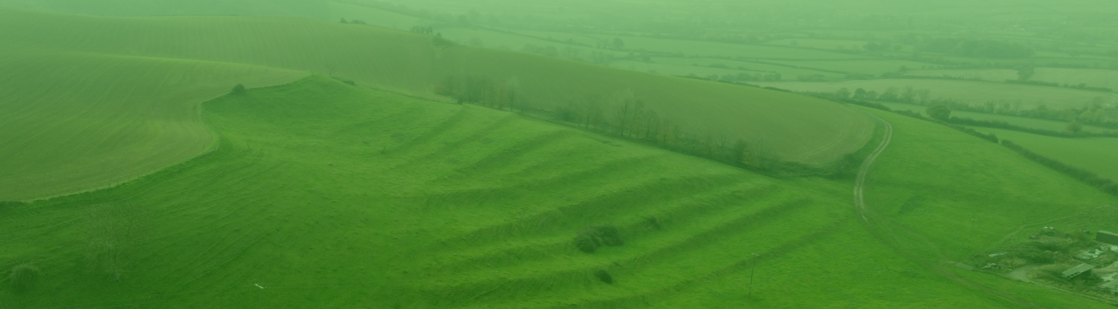 Protect Earth | Planting trees to save the earth