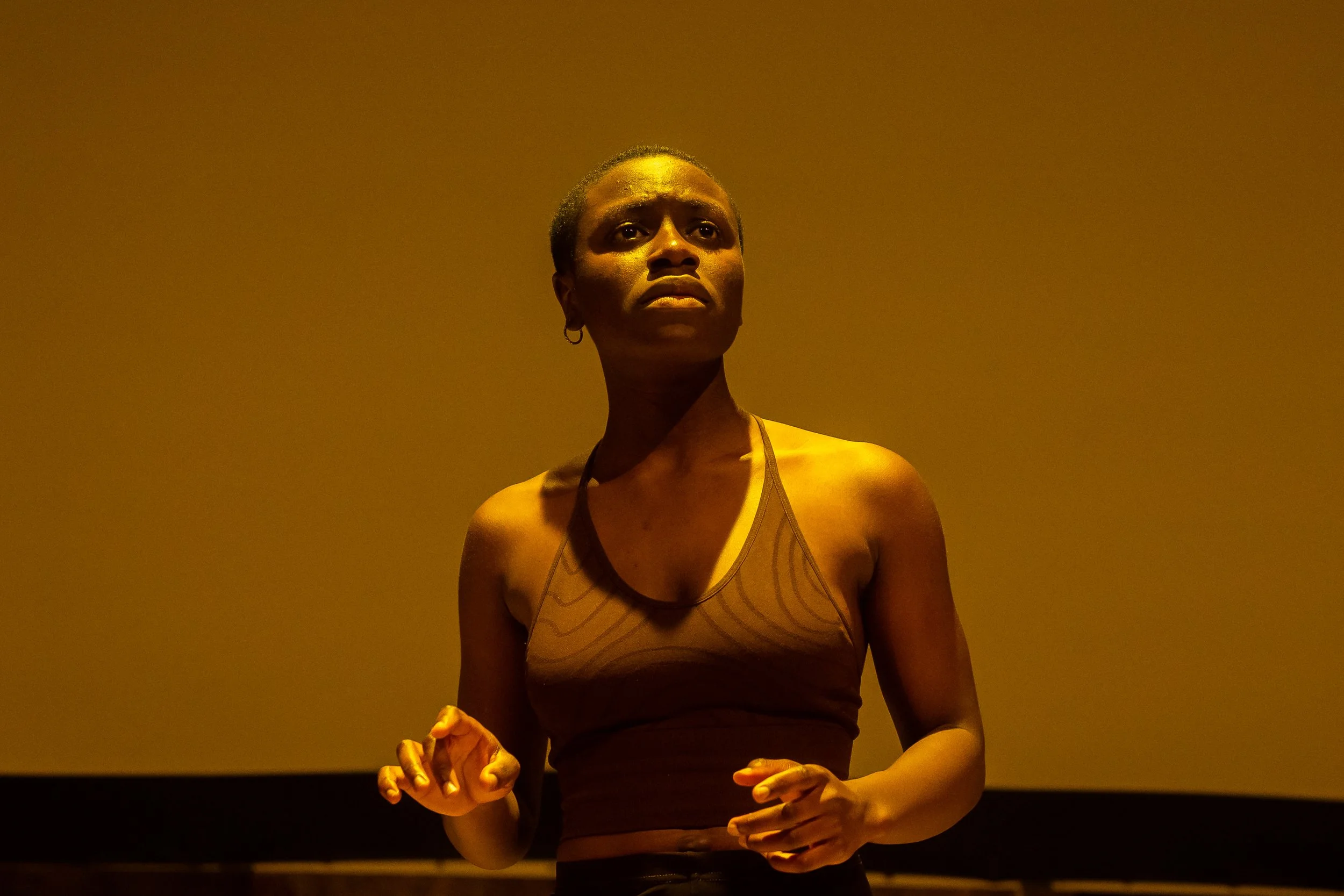 Johanna Taylor - Sankofa: Before the Whitewash