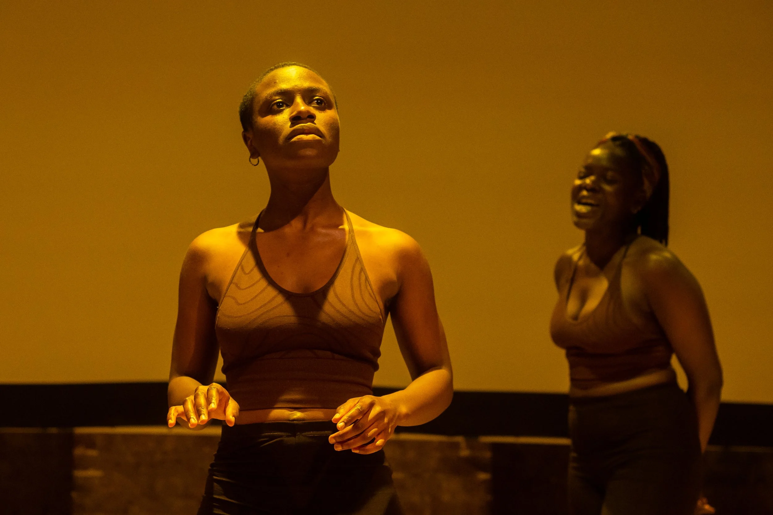 Johanna Taylor - Sankofa: Before the Whitewash