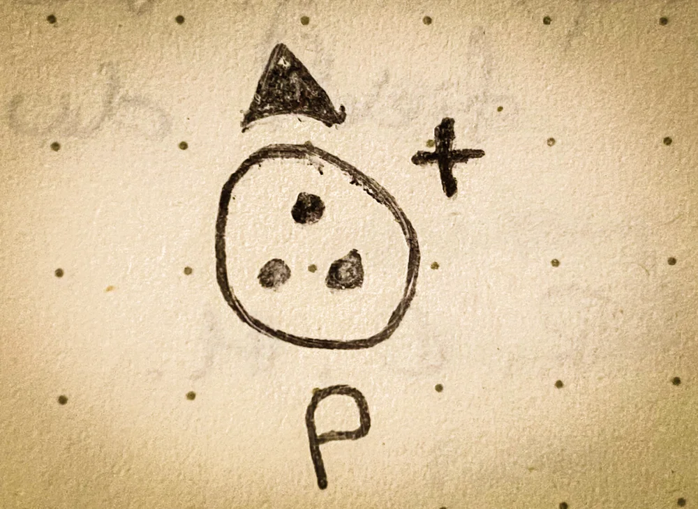 The Field Guide to Particle Physics — The Pasayten Institute