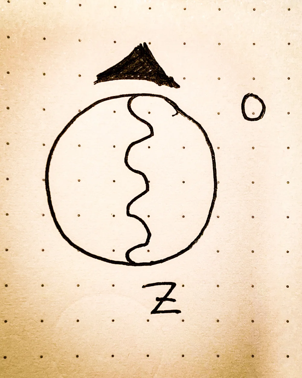 The Z Boson — The Pasayten Institute