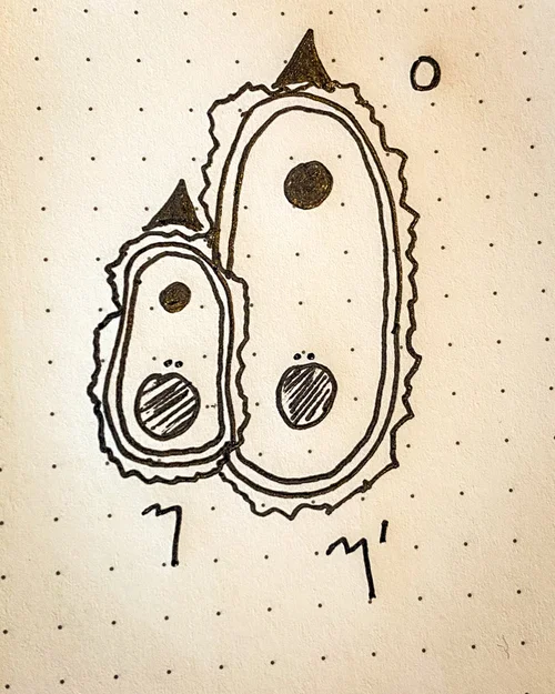 The Eta and Eta Prime Mesons — The Pasayten Institute