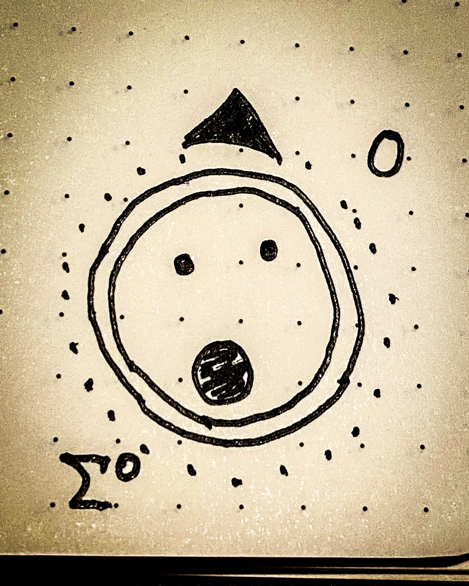 The Neutral Sigma Baryon — The Pasayten Institute
