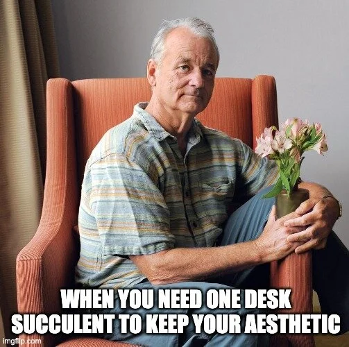 Agency Life Described in Bill Murray Memes — Adjective & Co.