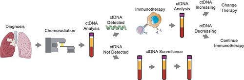Understanding MRD in Solid Tumors — BLOODPAC