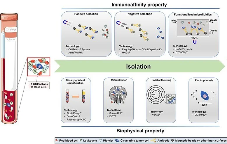 Understanding Circulating Tumor Cell-Based Liquid Biopsy — BLOODPAC