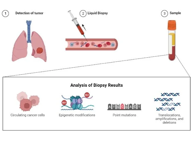 Understanding Tumor Mutational Burden (TMB) — BLOODPAC