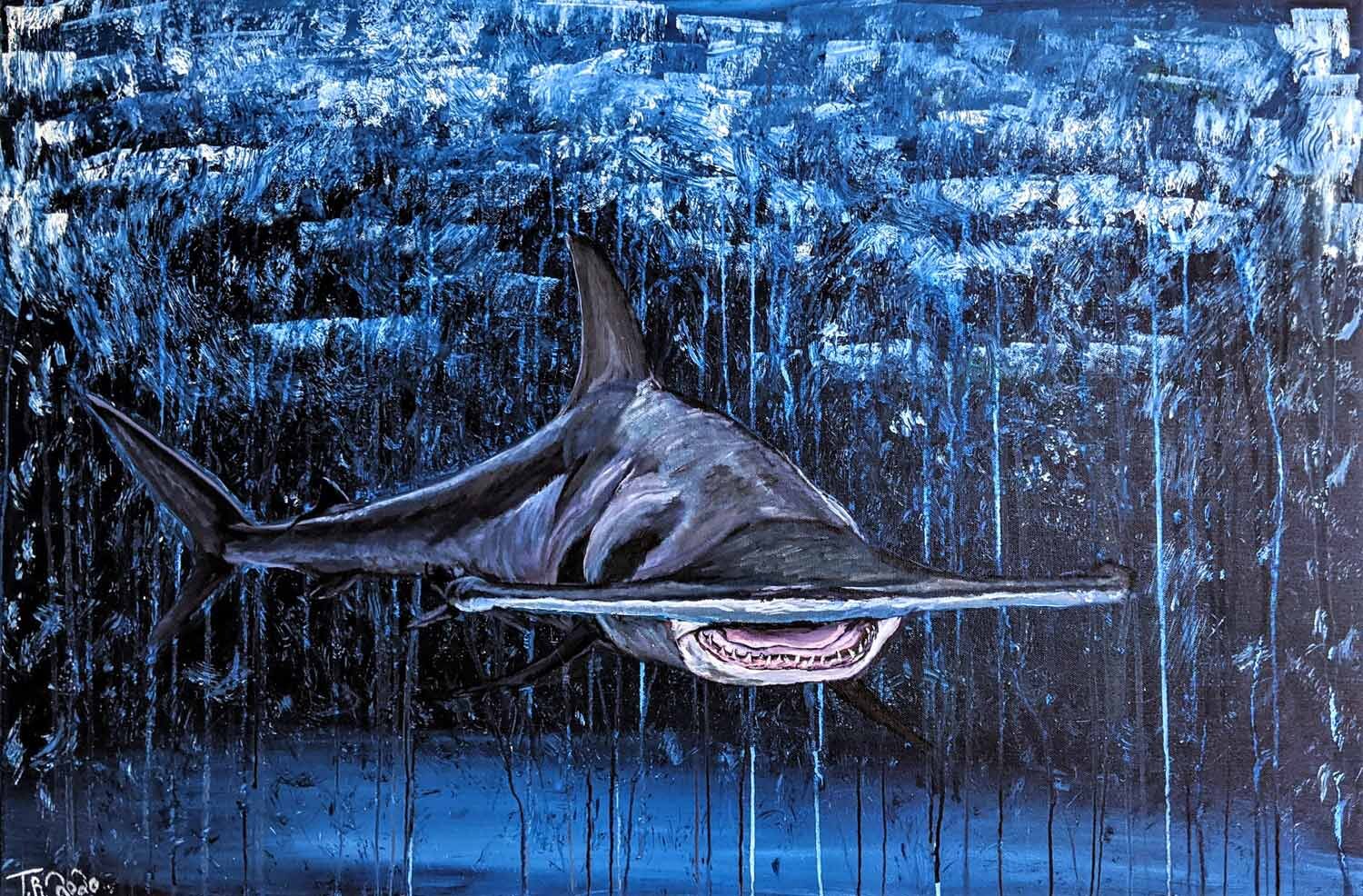 SHARKS — Tasha Roth
