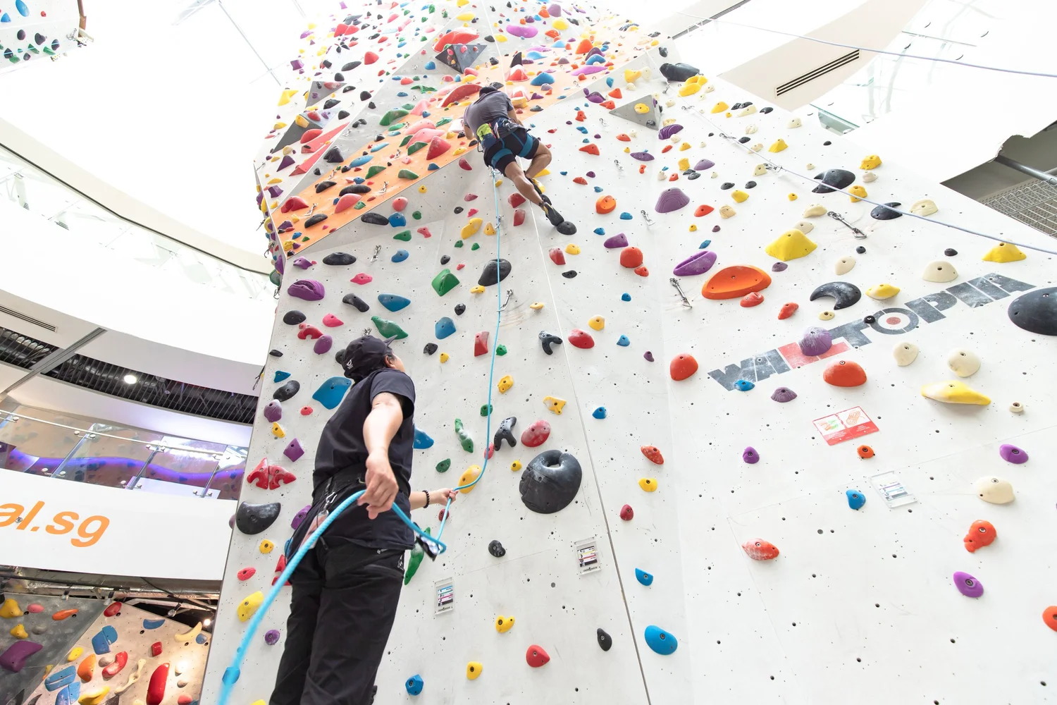 "Join and Master Climb Central’s SNCS-Certified Course Today!" — Climb ...