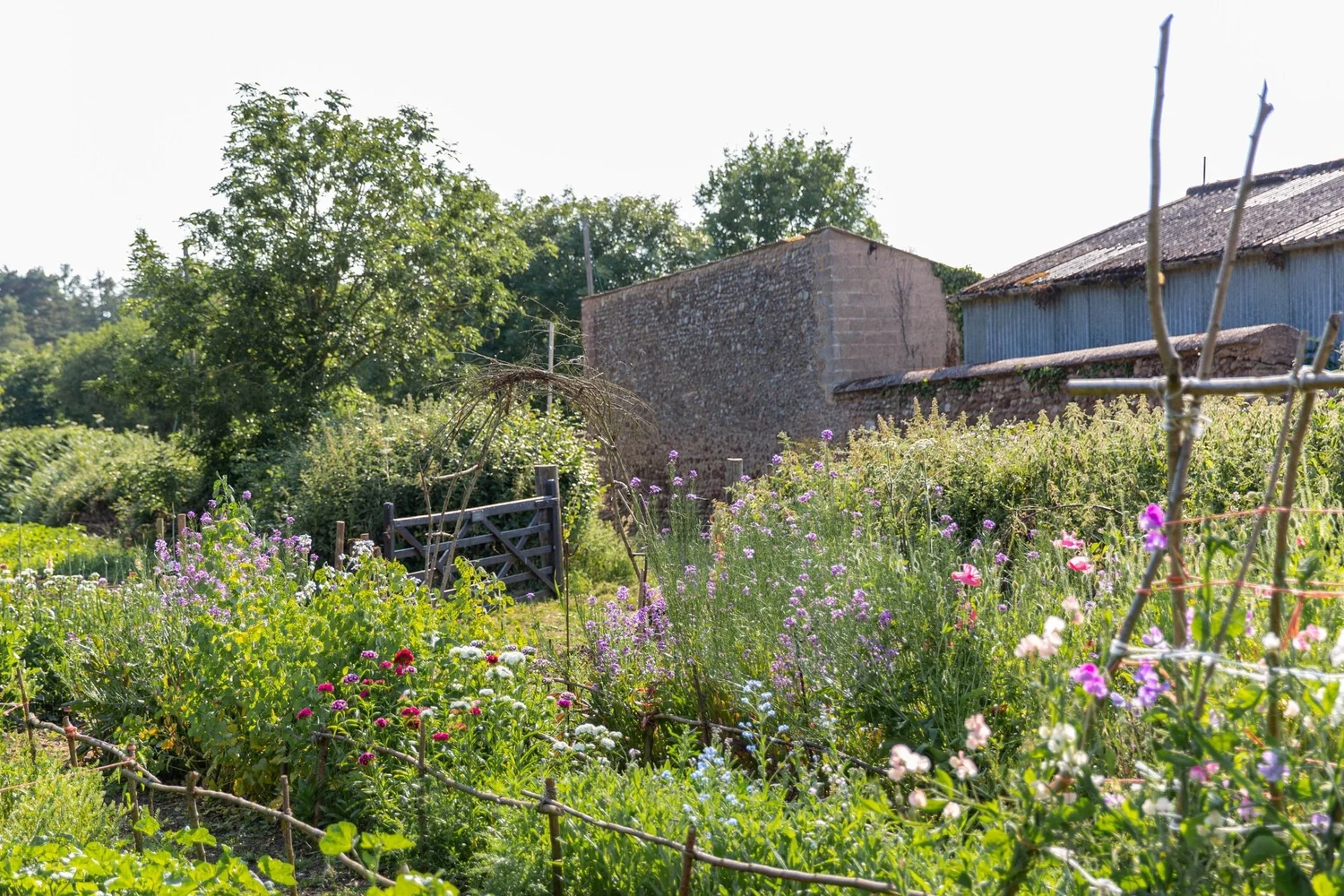 Stowford Flowers | Local Devon flower grower and florist