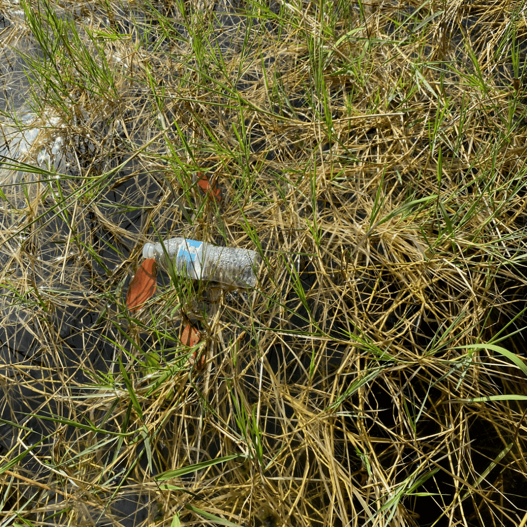 Learn how to #LakeCleanUp — Lake Lovers Club