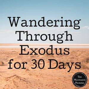 Blog 1 — The Wandering Pilgrims