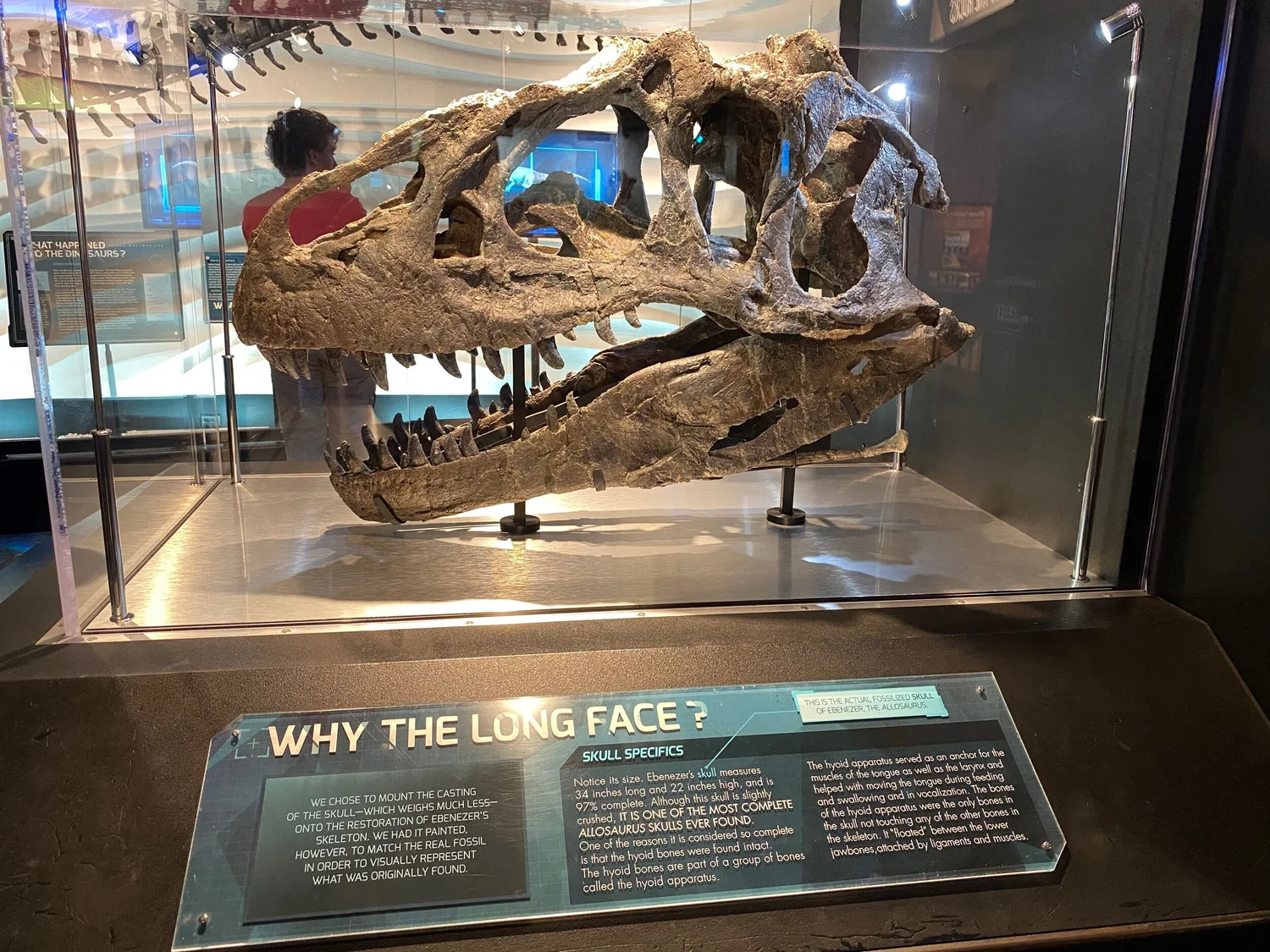 Exploring The Creation Museum — The Wandering Pilgrims