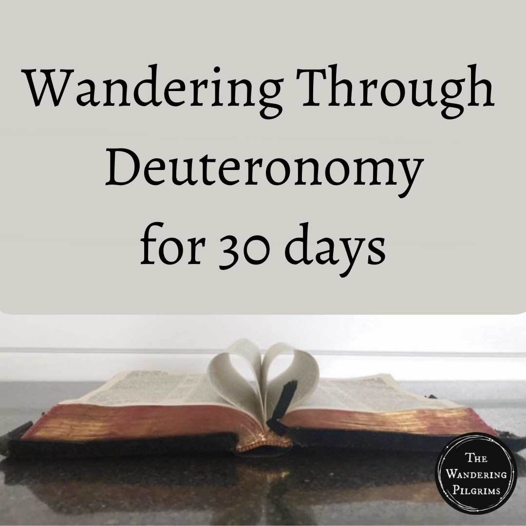 Blog 1 — The Wandering Pilgrims