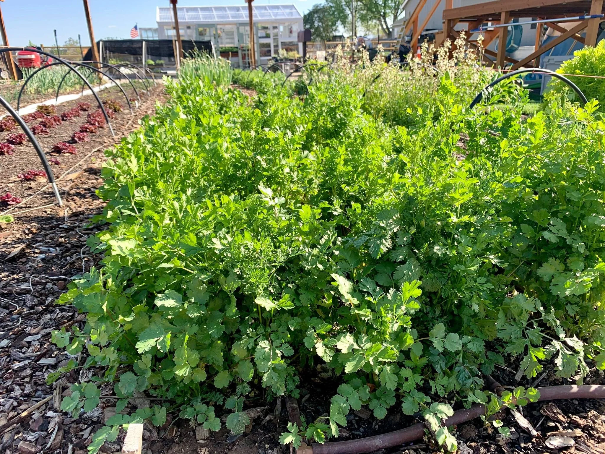 Store — Rustic Blooms