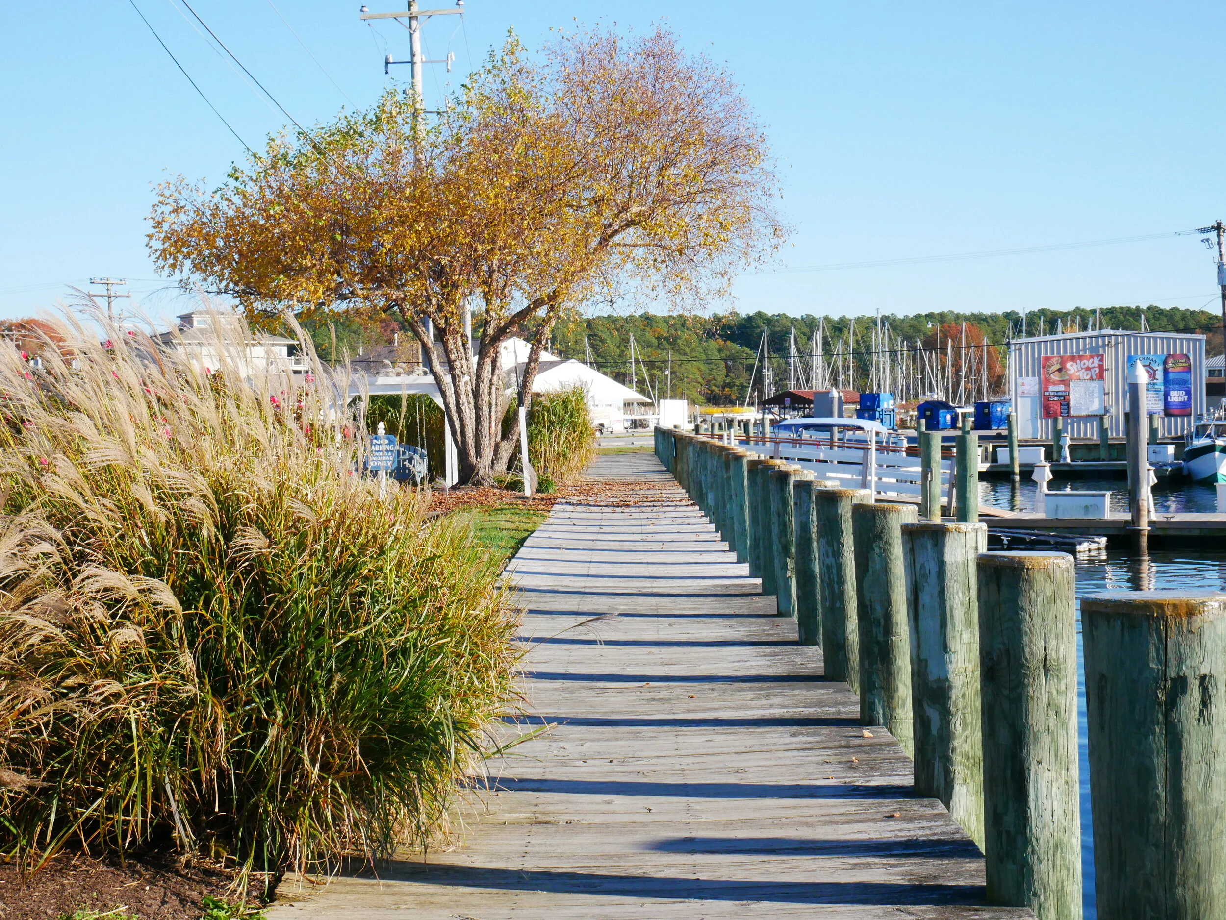 Rock Hall Landing Marina