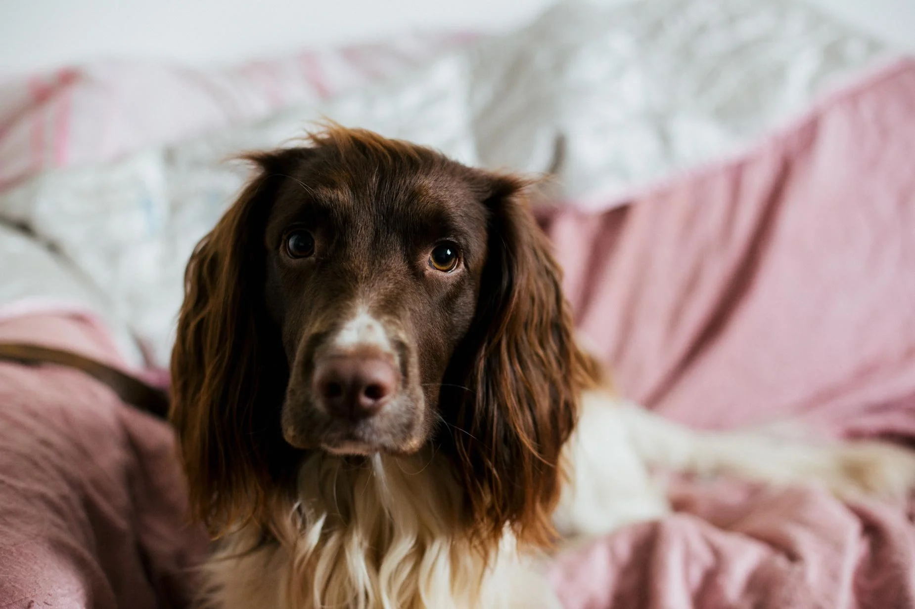 East Quay Wedding Photographer - Natalie and Tim — Matt Gutteridge