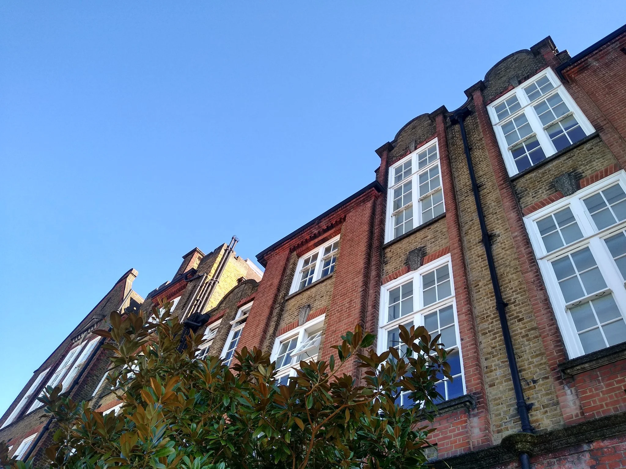 Governance — Hotham Primary School