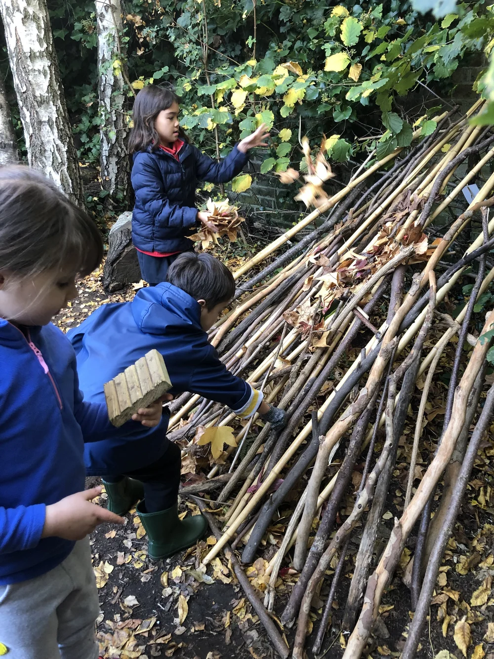 Welcome — Hotham Primary School