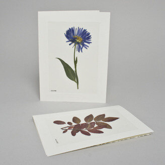 Wormsbecker — Alberta Craft Council