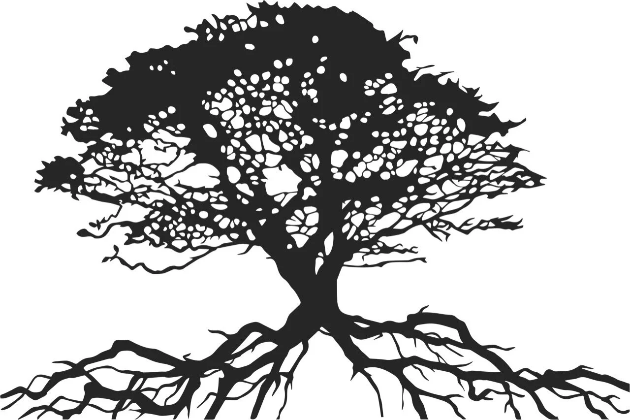 Connect — Oak Park Los Angeles