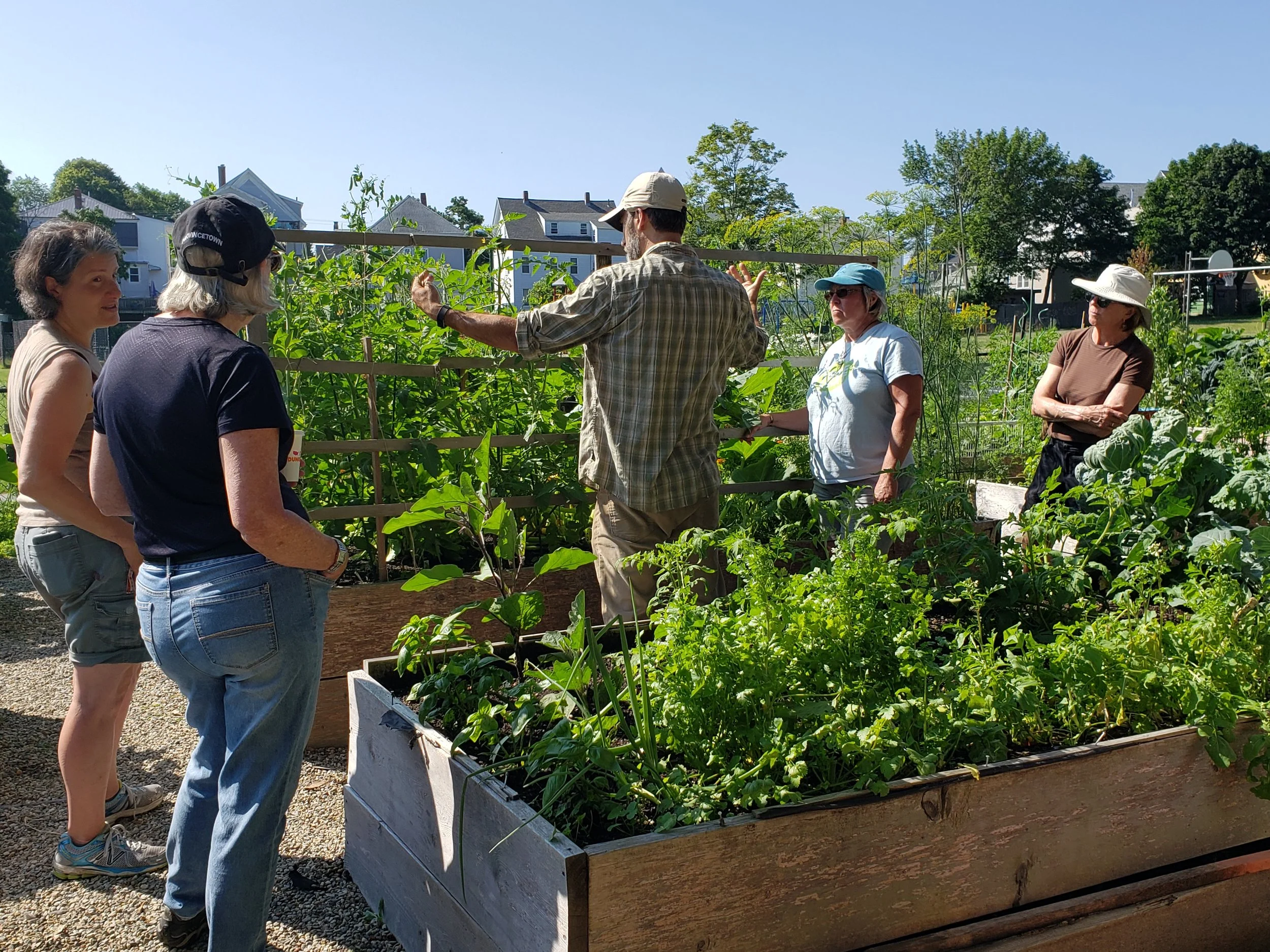 Community Vegetable Gardens