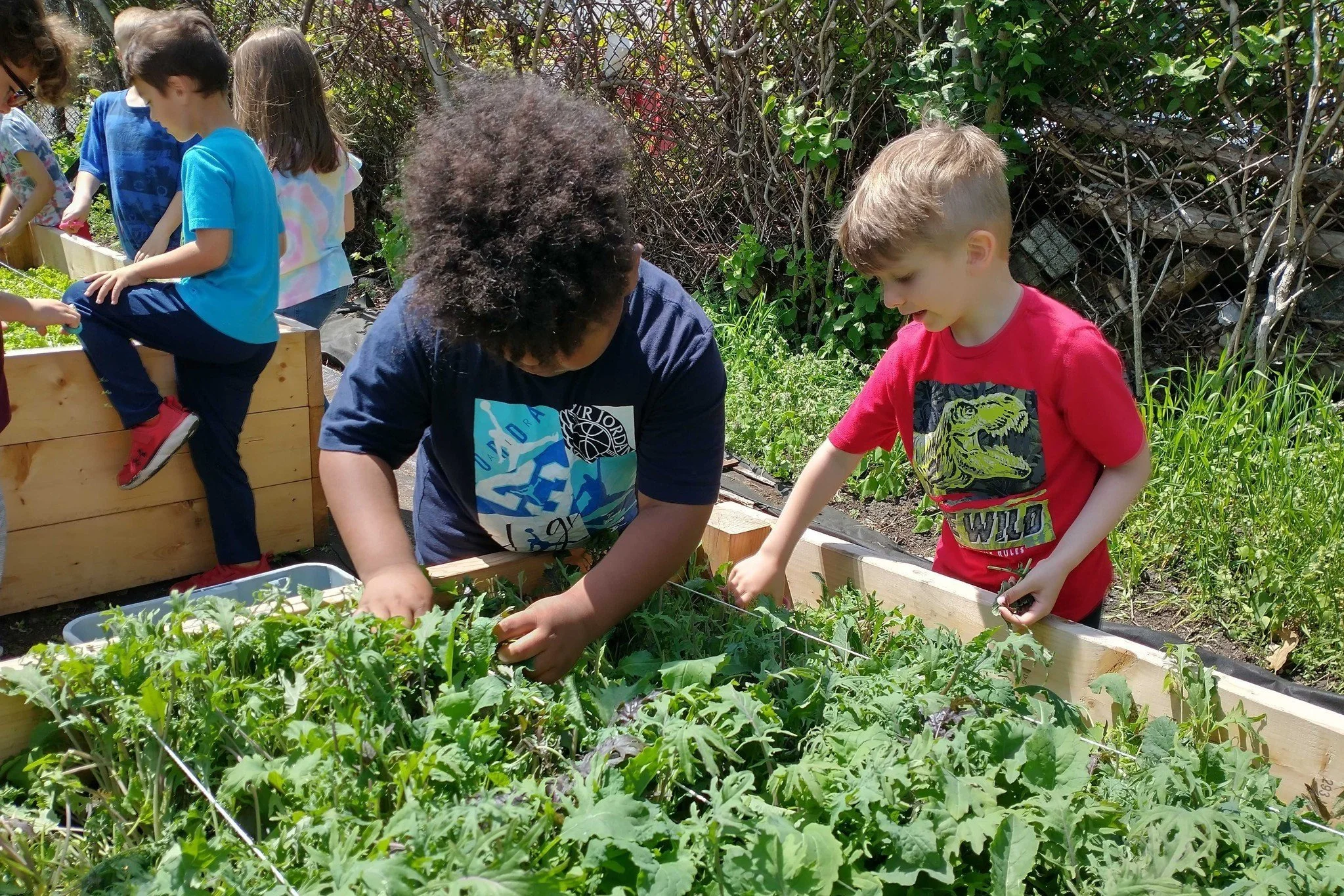 Backyard Growers | Join the Food Revolution