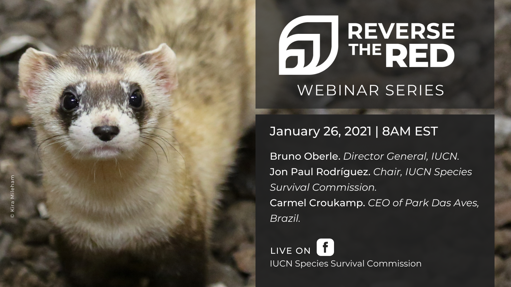 Events — Reverse the Red