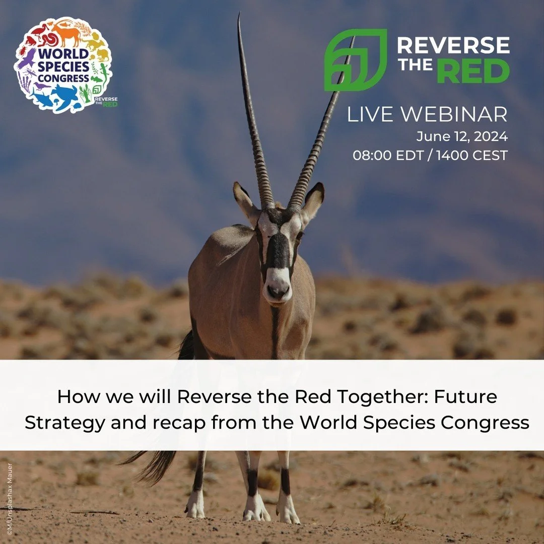 Reverse the Red - Revertir el Rojo - Inverser le Rouge