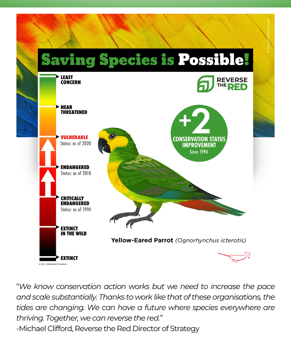 Accelerator Award — Reverse the Red