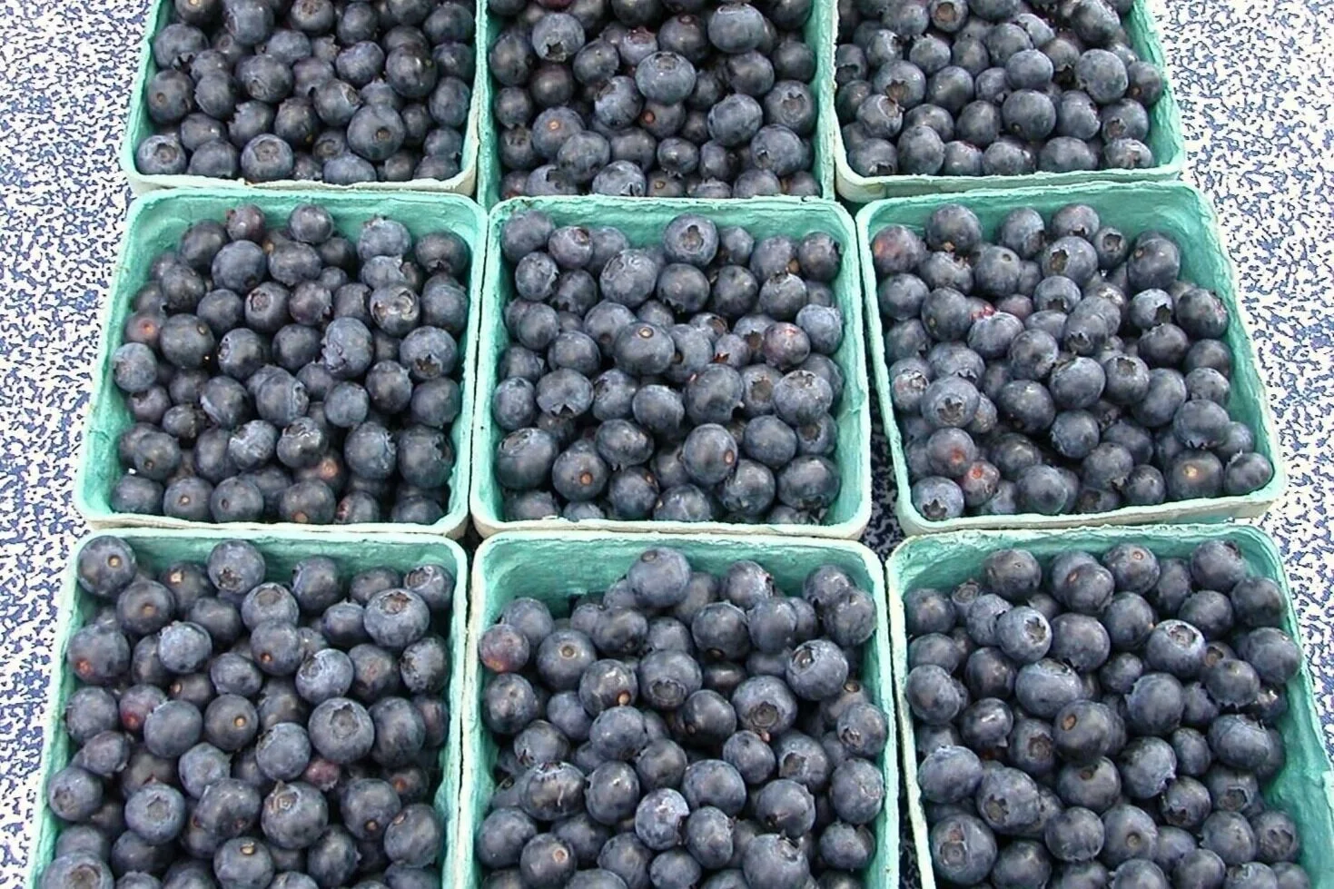 Canter-Berry Farms