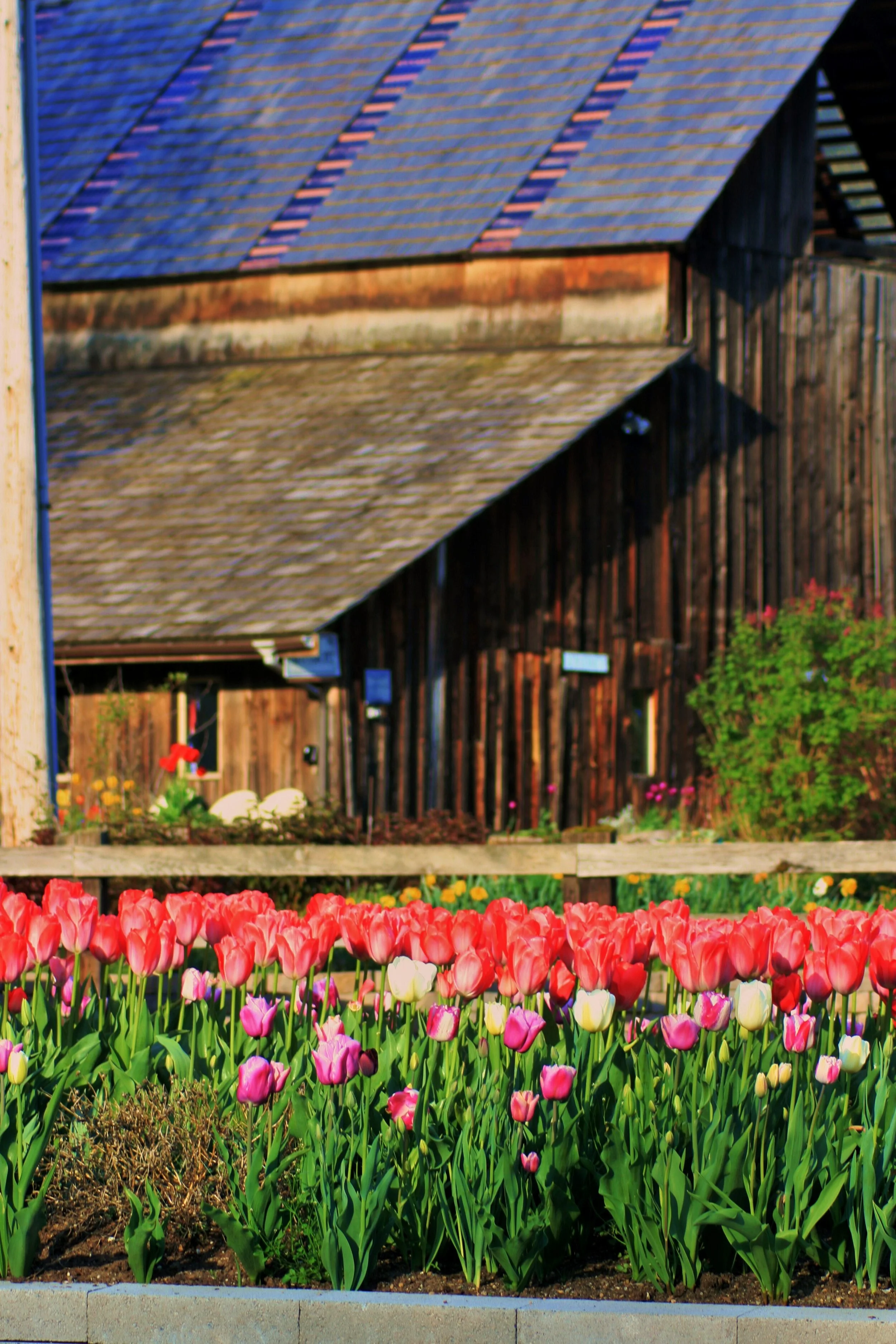 Barn — Canter-Berry Farms