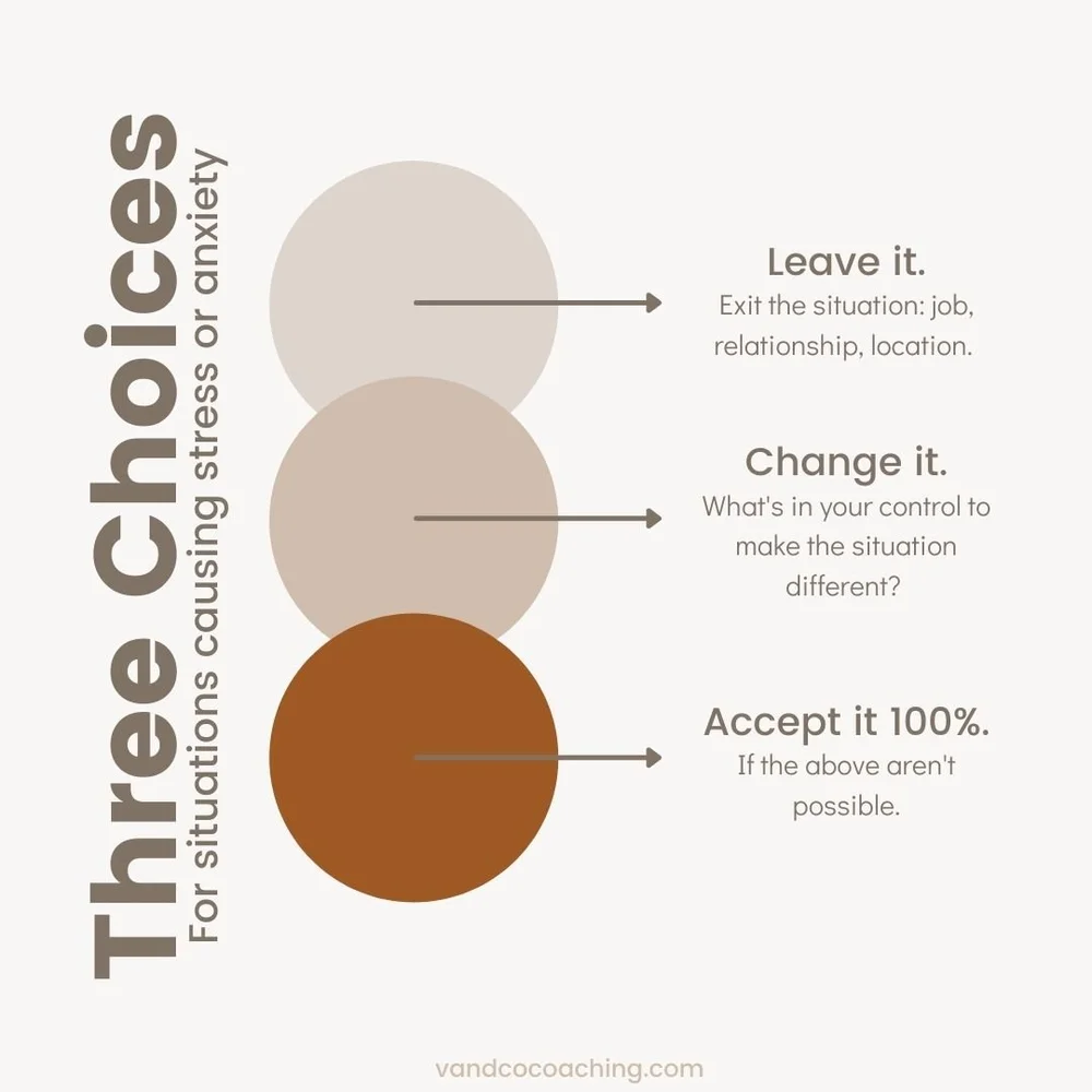You Have Only Three Realistic Choices — V & CO Coaching