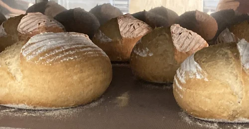 Bread Shop Bonté Bakery