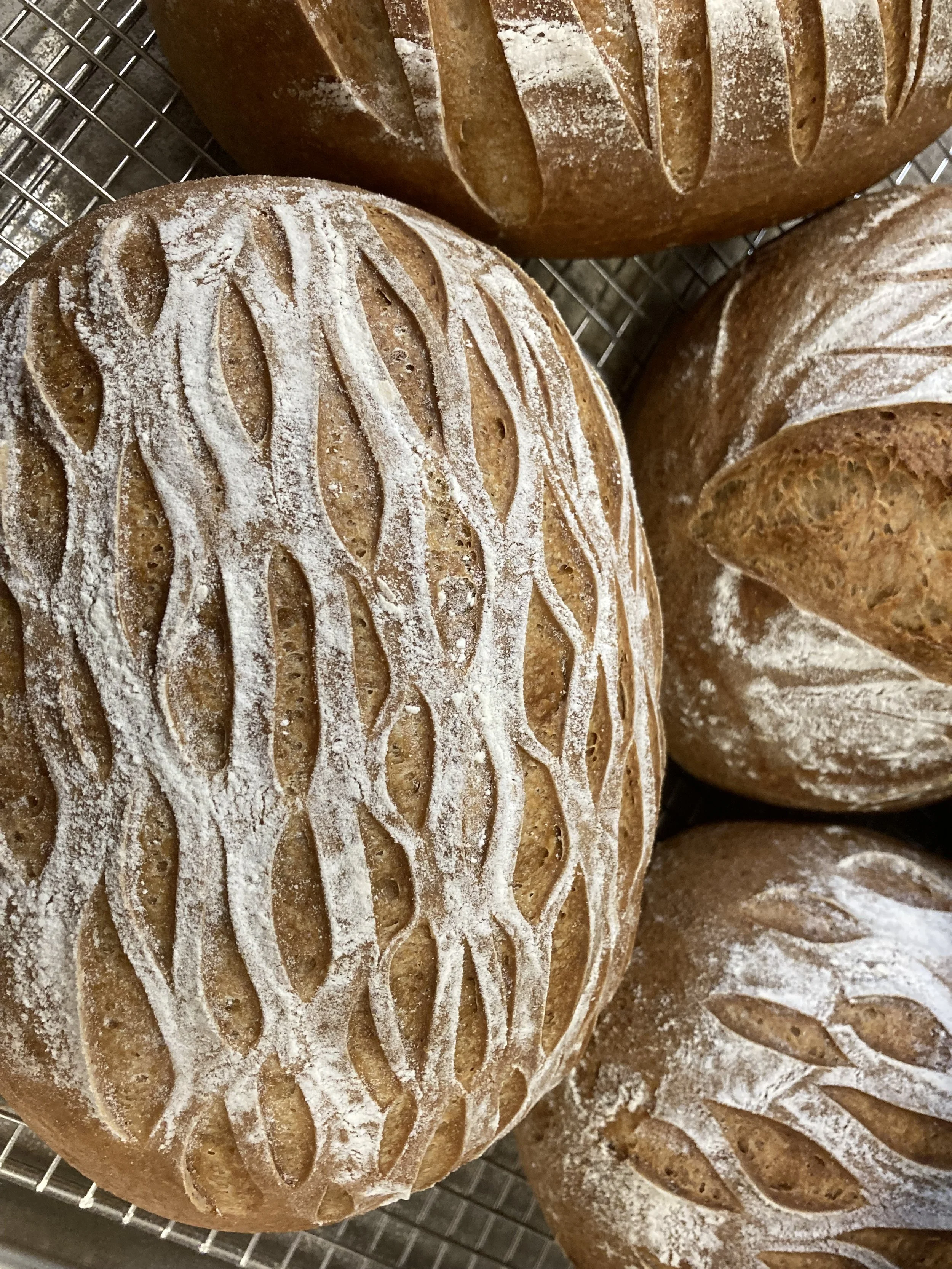 Gallery — Bonté Bakery