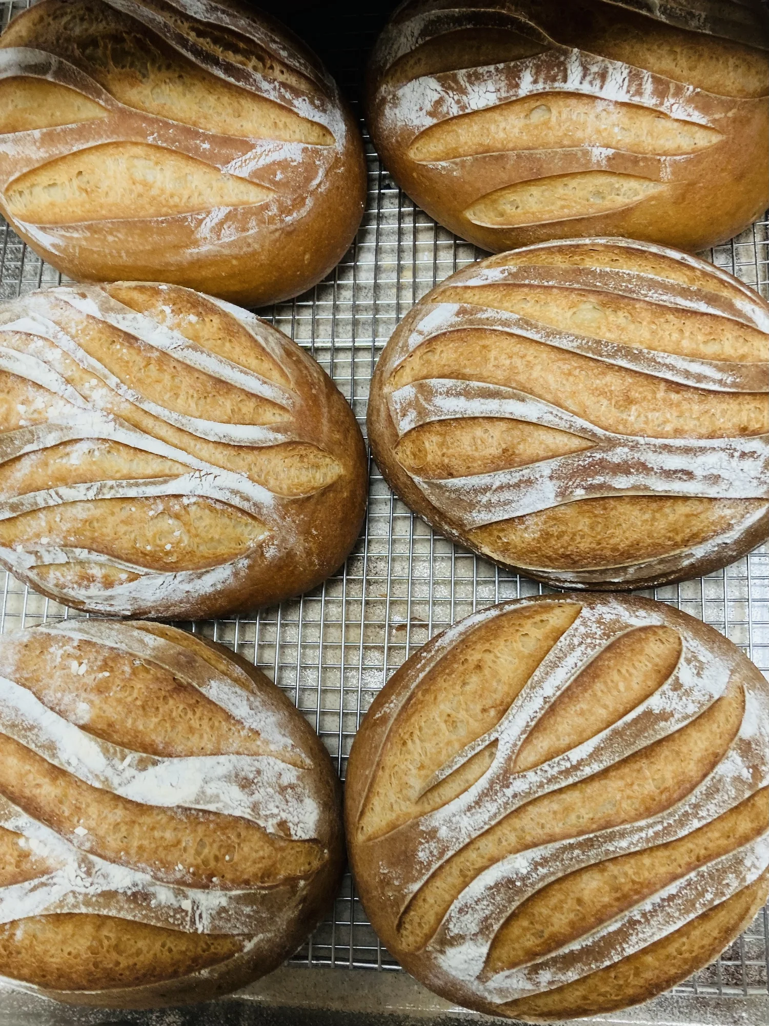 Gallery — Bonté Bakery