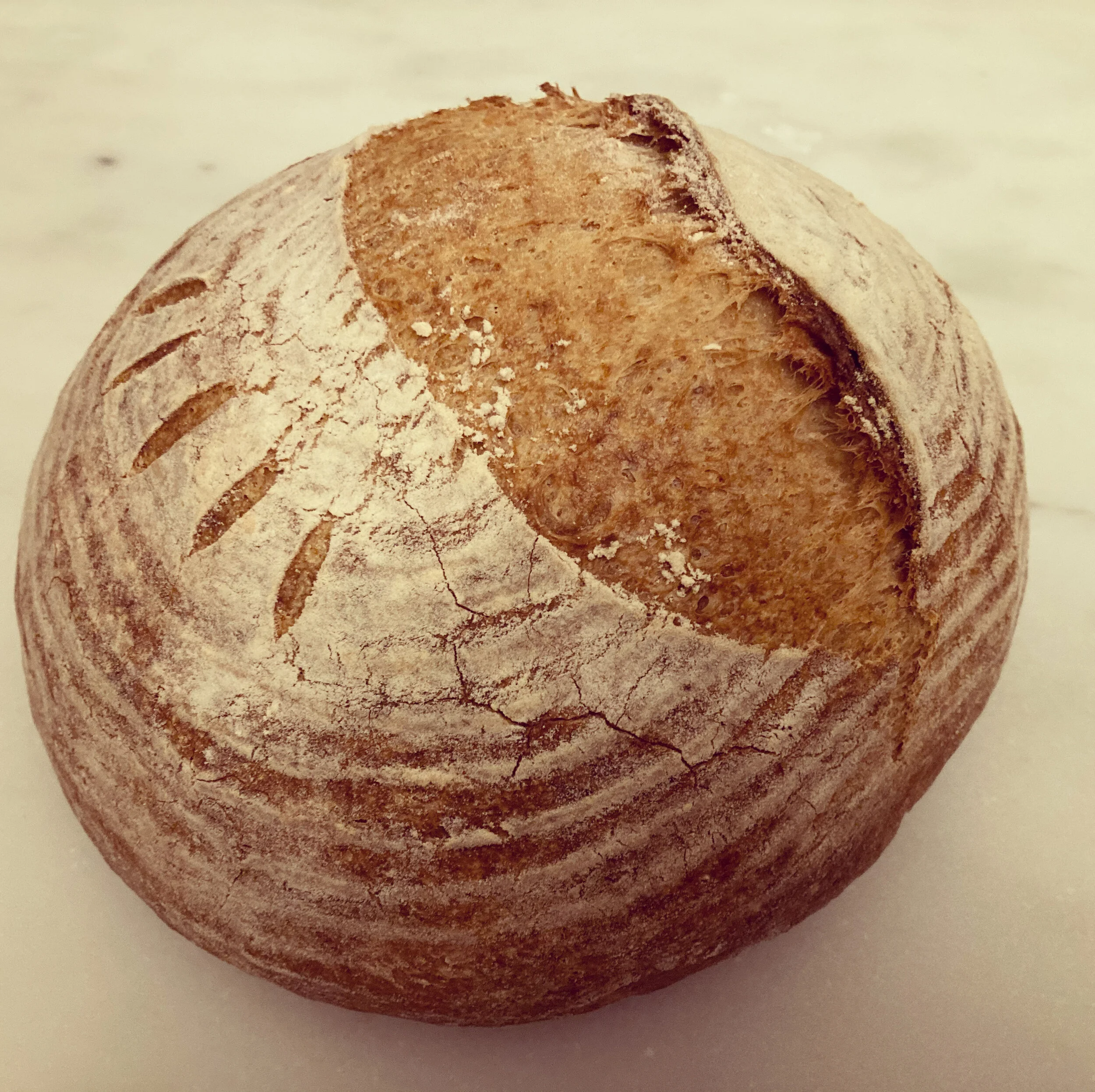 Gallery — Bonté Bakery